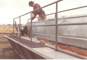 Plunge and Cage Dipping - LiceBoss